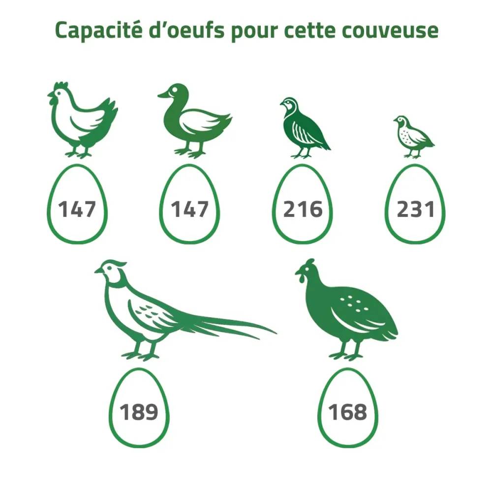 Sitemapcdatahttpsmodeinf Inetcomprix Poule Gamm Vert
