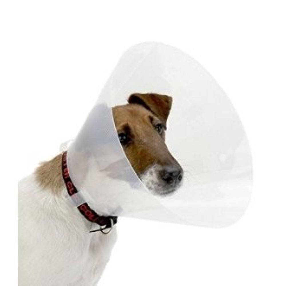Une collerette de protection XS- S 22-25 cm diamètre 10 cm pour chien ...
