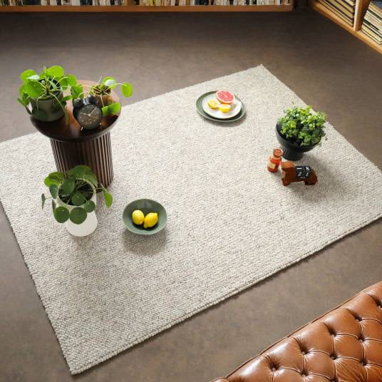 Tapis de salon ou chambre - Bouclette - Grège tendre - 160 x 230 cm ...