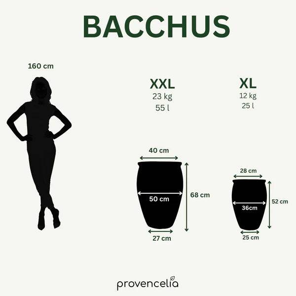 Pot BACCHUS 50x68cm violet - Gamm vert