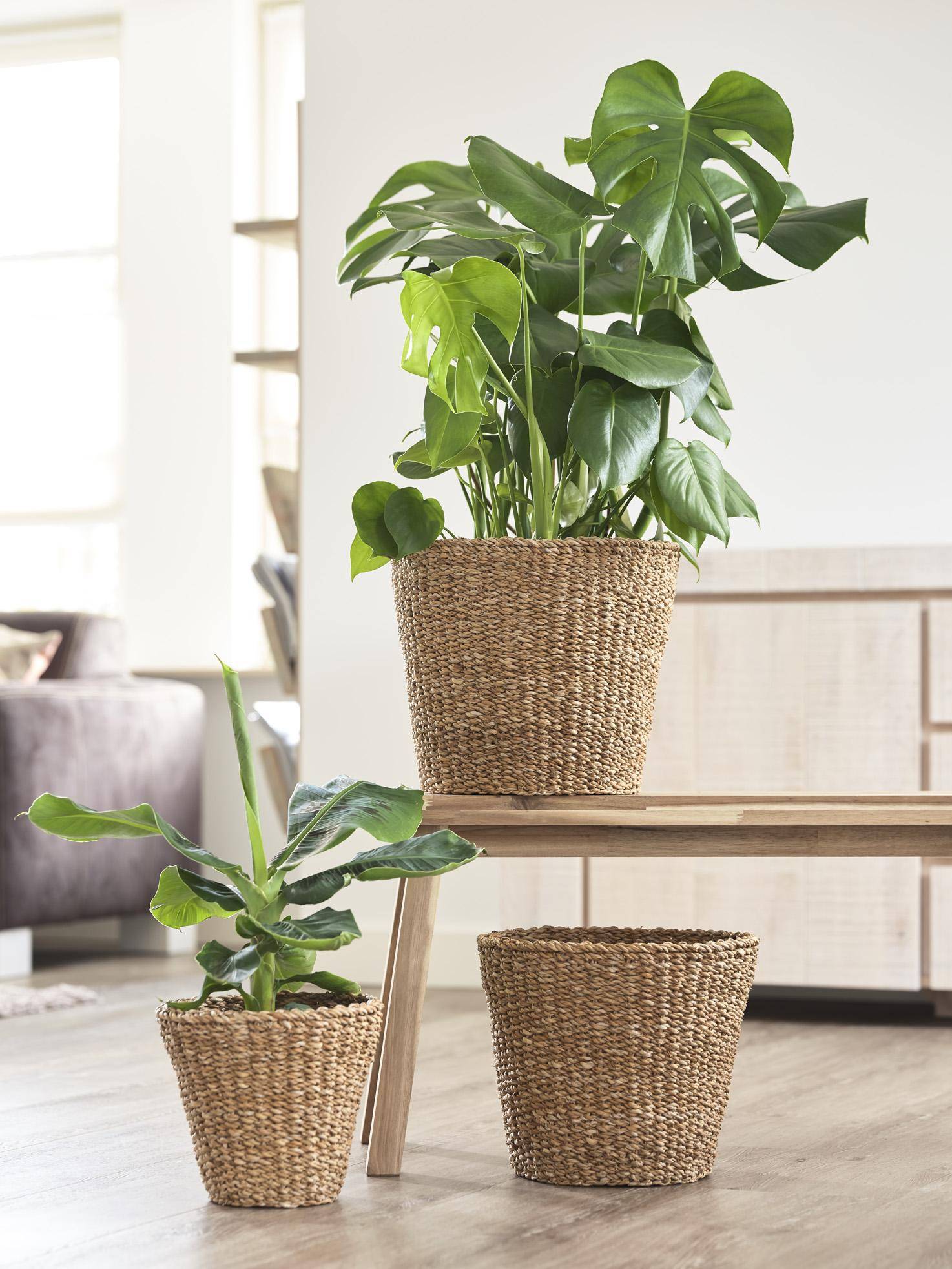 Cache-pot Panier Jonc de Mer Naturel Déco Intérieur Ø30cm - ComfortXL ...