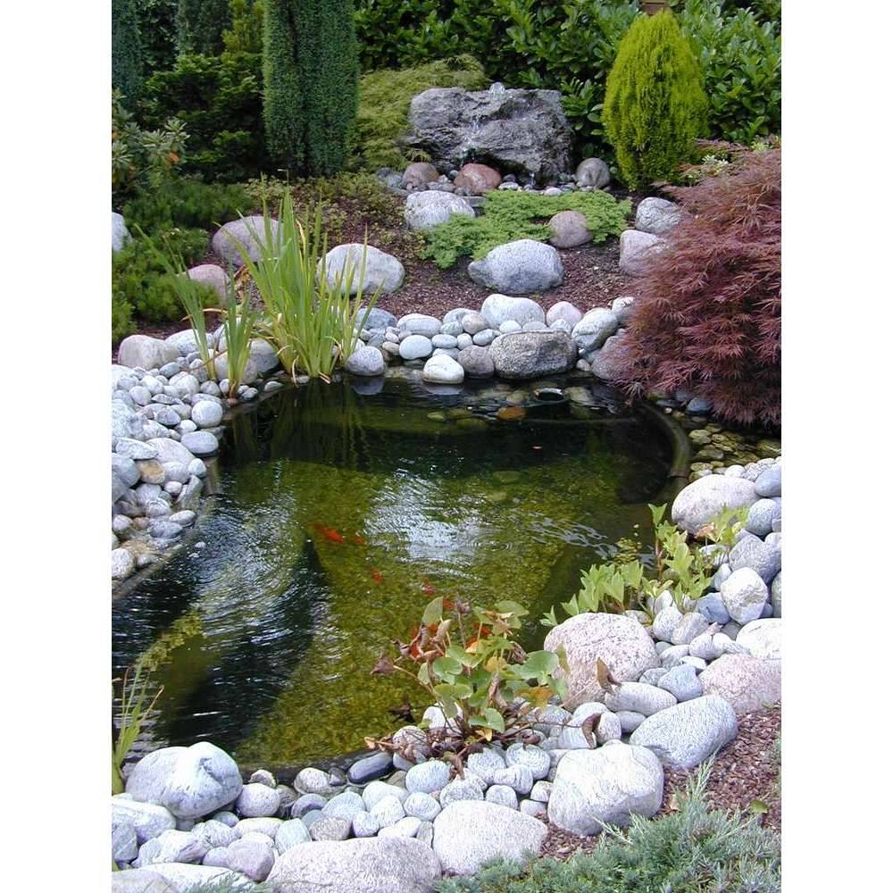 Bassin de jardin préformé - Gamm vert